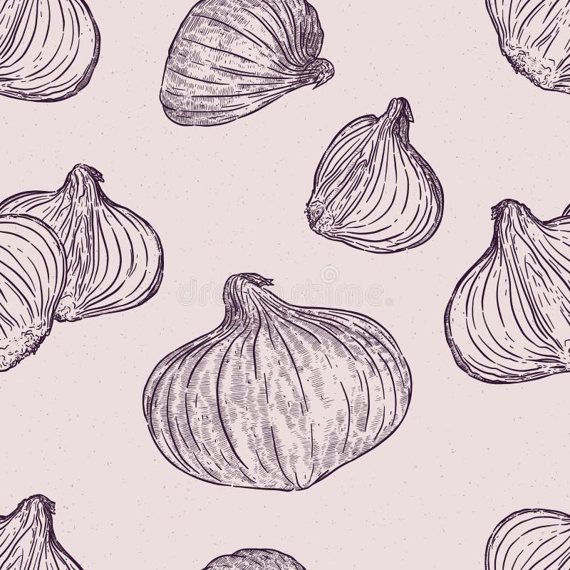 Red Onion, Seamless Pattern. Hand Draw Sketch Vector Stock Vector ...