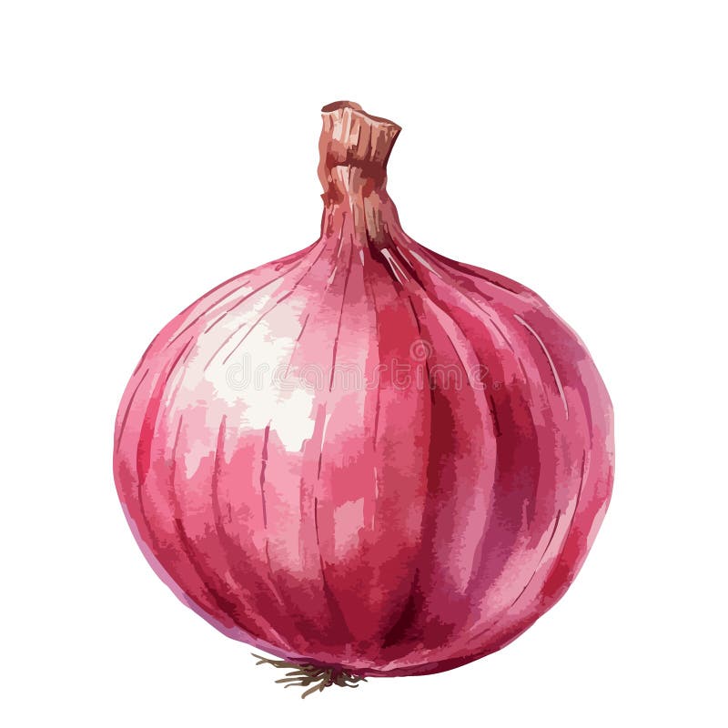 Red Onion is Shown in the Image. it is a Large, Round Onion with a Stem ...