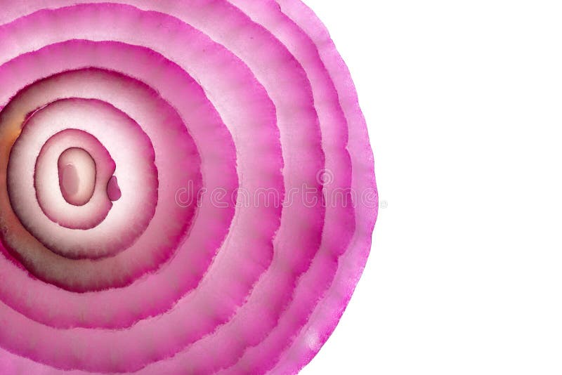 Red Onion Slice Pattern Like Concentric Rings on White Background Stock ...