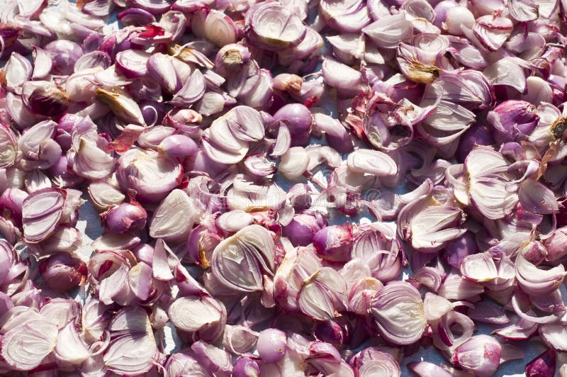 Red onion sliced. stock image. Image of nutritious, health - 28899045