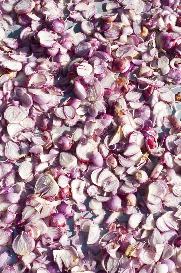 Red onion sliced. stock photo. Image of natural, fresh - 28899186