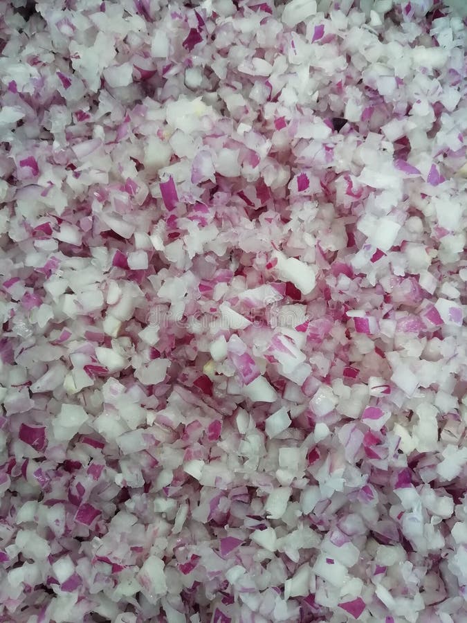 Red onion. stock image. Image of pink, plant, magenta - 223991973