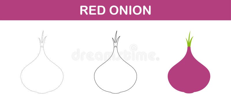 Red Onion Tracing and Coloring Worksheet for Kids Stock Vector ...