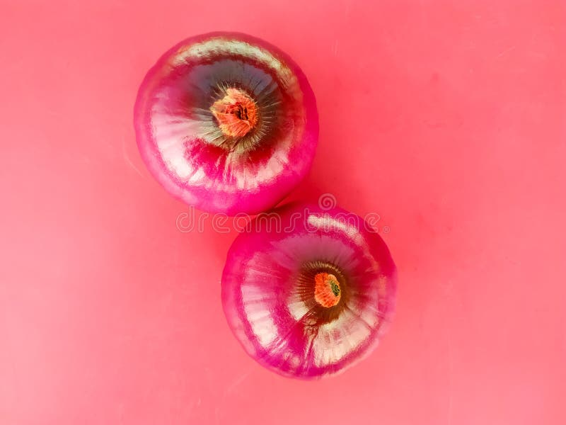 Red Onion Tuber Isolated on Pink Stock Photo - Image of tuber, root ...