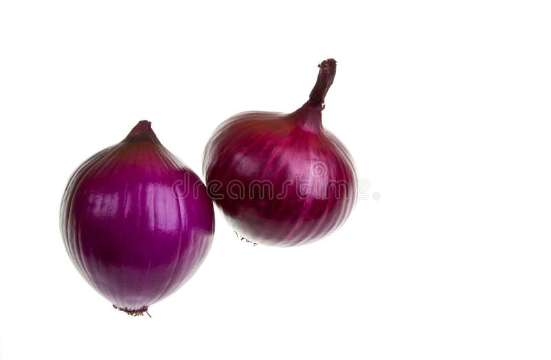 Red Onion stock image. Image of vegetable, bulb, food - 48148067