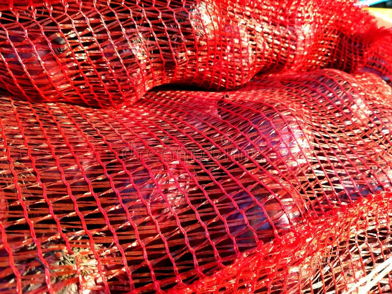 Bagged red onions stock photo. Image of food, mesh, onions - 101191562