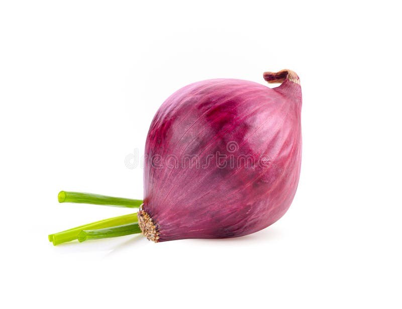 Red Onion on White Background Stock Photo - Image of fresh, white ...