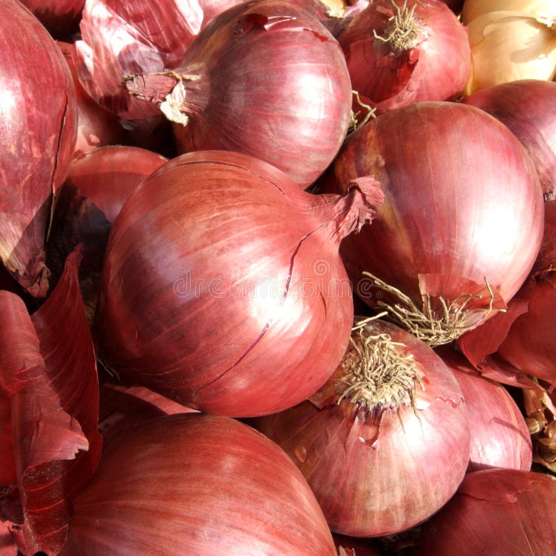Red onions stock photo. Image of natural, purple, peel - 29040366