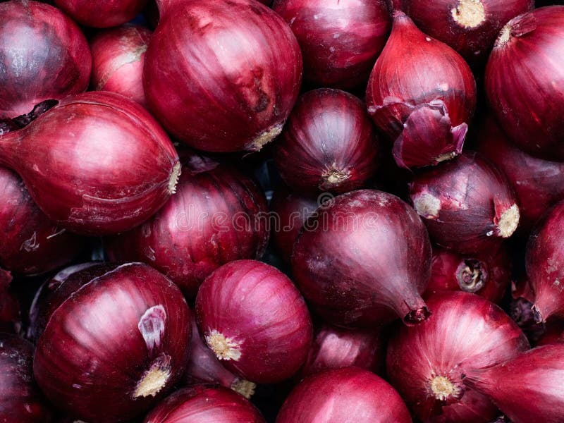 Red Onions stock photo. Image of container, pile, fair - 6634956
