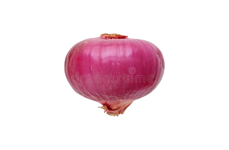 Red Onions Bulb Isolated on White Background. Side View Stock Image ...