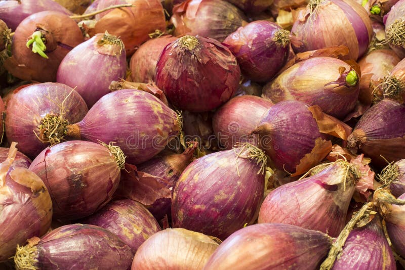 Red Onions Bulbs on a Market in Arequipa, Peru Stock Image - Image of ...