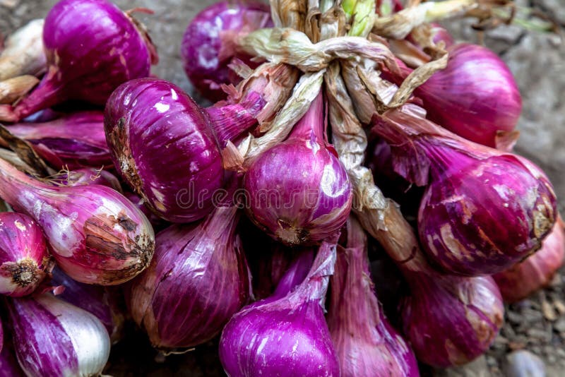 Red Onions stock image. Image of fresh, ripe, ingredient - 210335325