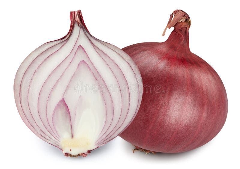 Onion isolated on white stock photo. Image of white - 161336622