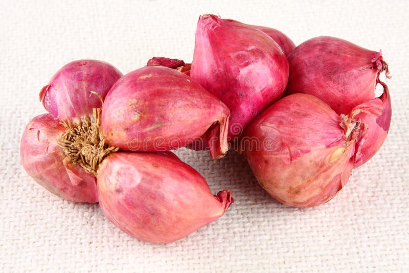 Red onions. stock image. Image of food, bowl, culinary - 42771583