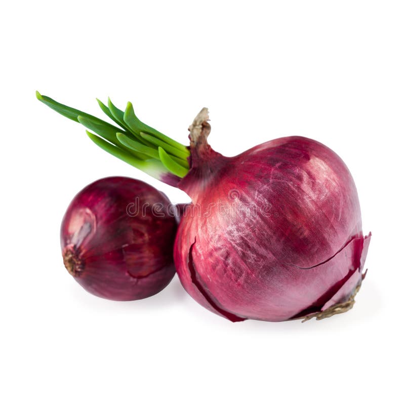 Red Onions Organic Ready To Sale Stock Image - Image of petal, lilac ...