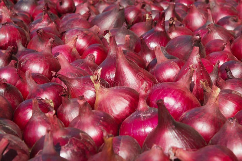 Red Onions in Plenty on Display at Local Farmer`s Thailand Market. Big ...