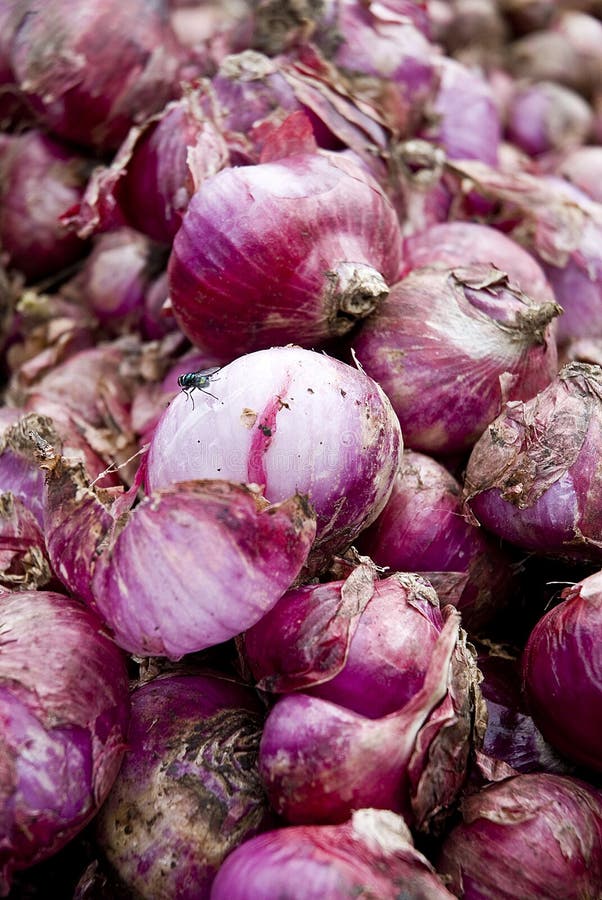 Red Onions stacked stock photo. Image of skin, produce - 10789602