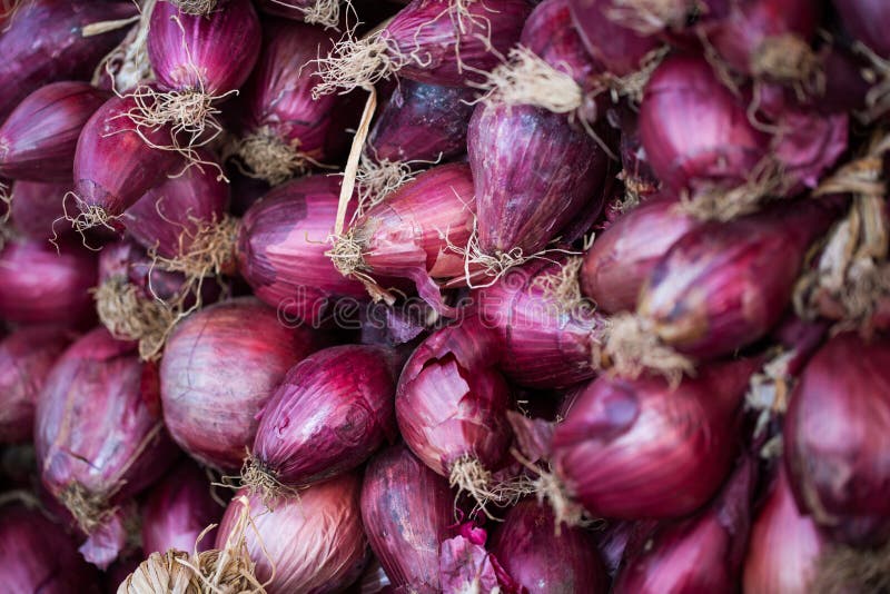 Red onions from Tropea stock image. Image of natural - 98588457