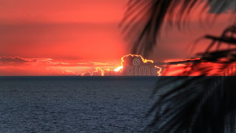 Red Orange Hawaii Sunset Seen through Palm with Sun Peeking from Behind ...