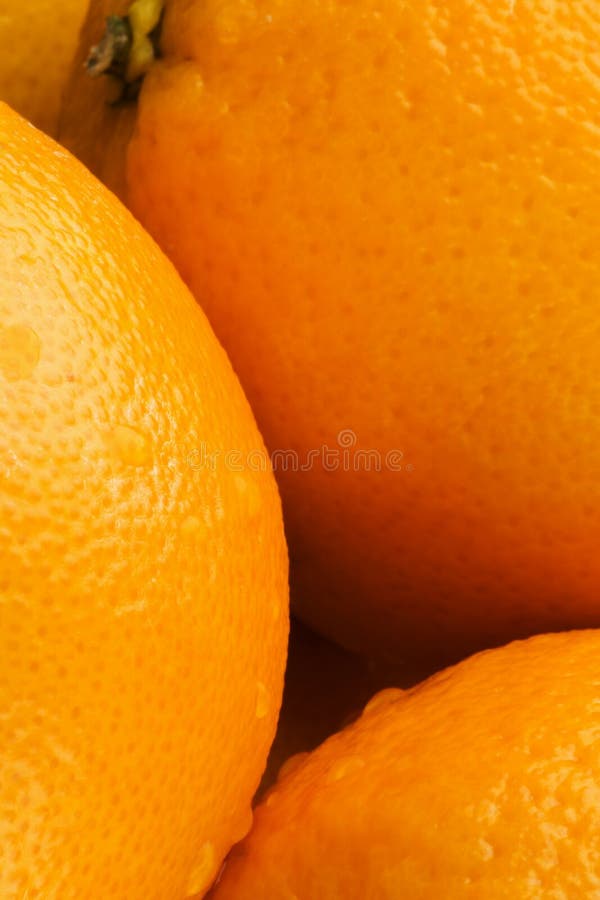 Red orange juice stock photo. Image of cultivation, seeds - 130655174