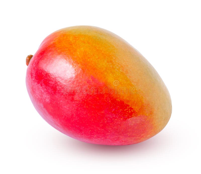 Red Orange Mango with Shadow Isolated on White Stock Image - Image of ...