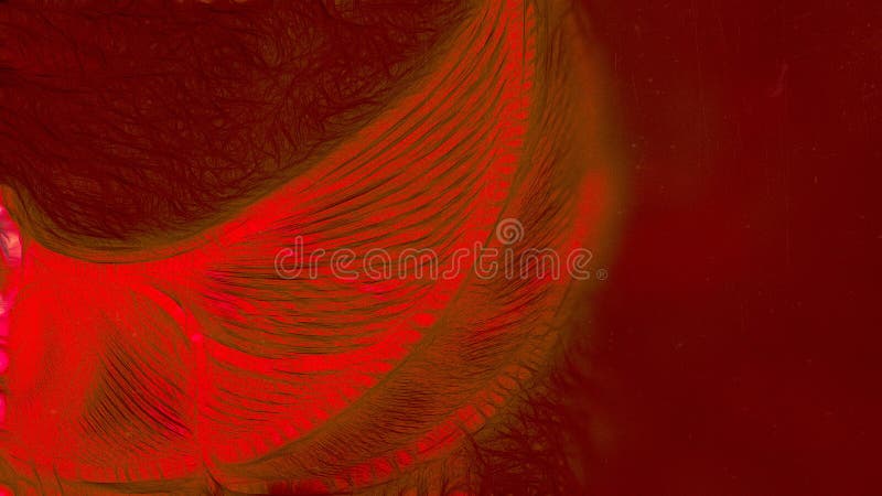 Red Orange Maroon Background Beautiful Elegant Illustration Graphic Art ...