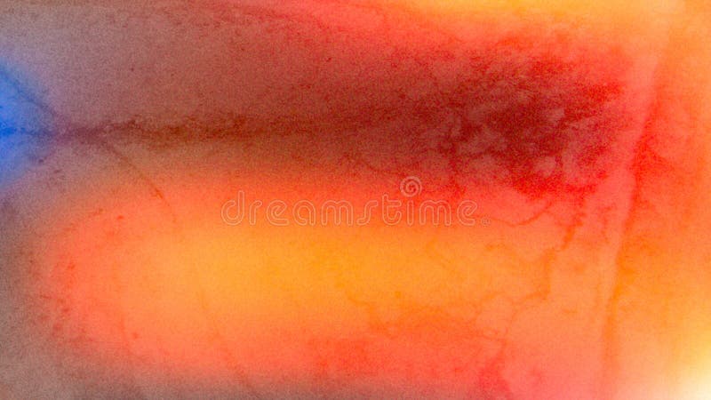 Red Orange Peach Beautiful Elegant Illustration Graphic Art Design ...