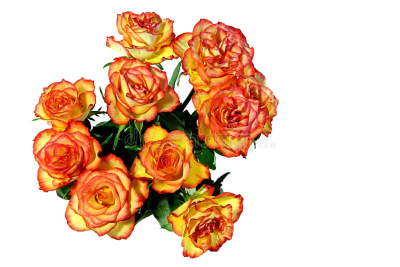 Red and Orange Roses stock image. Image of green, bouquet - 18849653