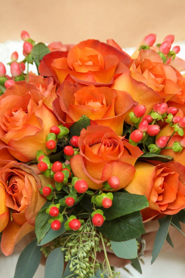 Red Orange Roses stock photo. Image of vibrant, floral - 308391830