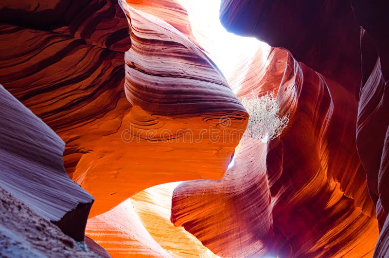A Tumbleweed Stuck among the Sandstone Rock Formations in Antelope ...