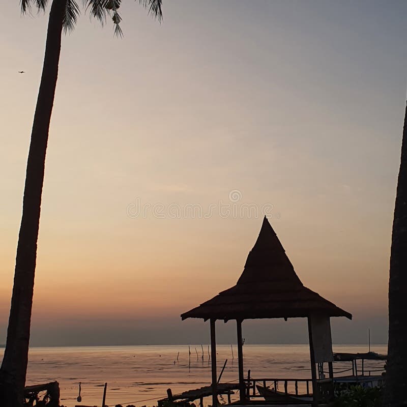 Red Orange Sky Coconut Tree in the Beach Panoramic Stock Photo - Image ...
