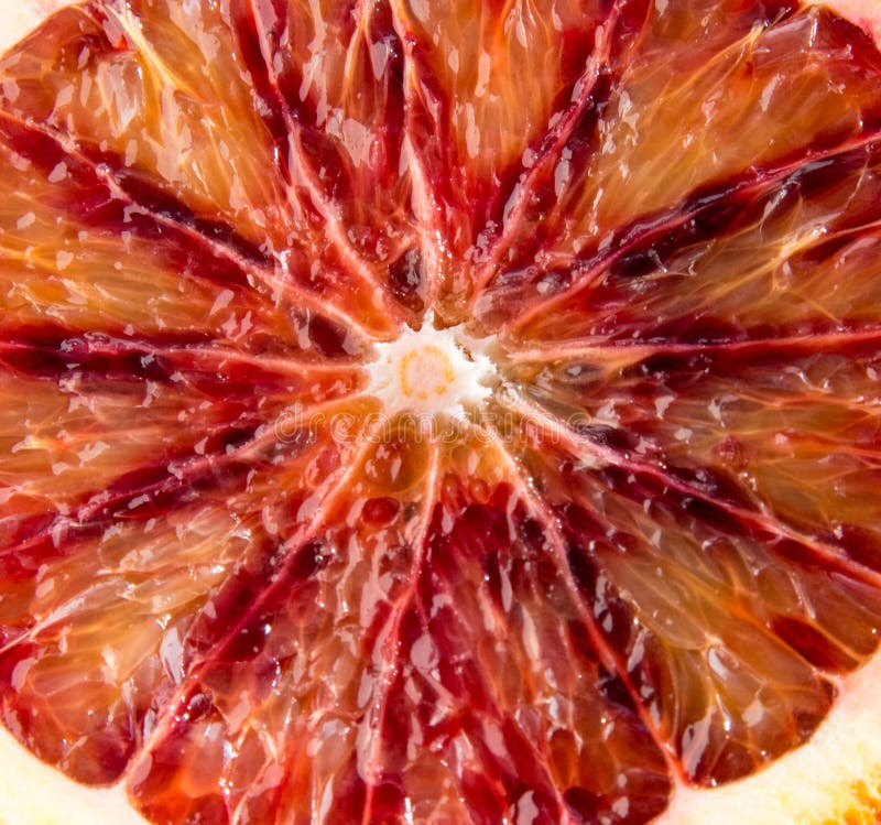 Red Orange Slice, Close-up, Copy Space, Pattern, Rough Shadows, Macro ...