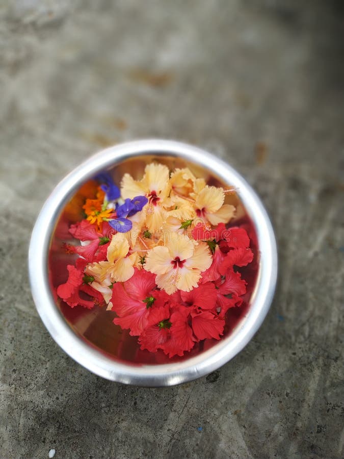 Red and Orange Summer Flower in India Stock Photo - Image of arhul ...