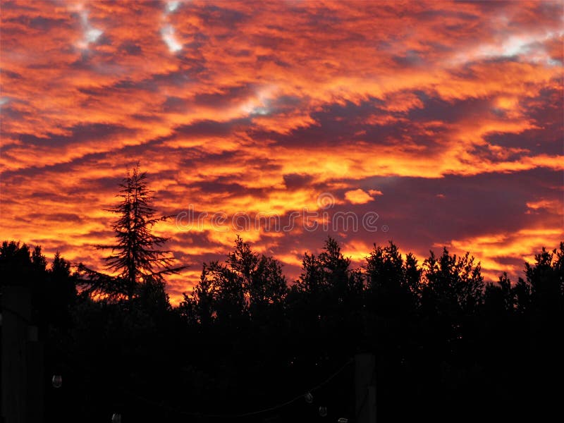 Red and Orange Sunset Sky with Pine Tree Stock Photo - Image of orange ...