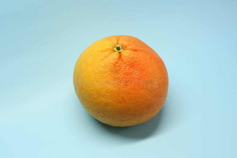 Red-orange Whole Uncut Grapefruit on a Blue Background. Juicy Citrus ...