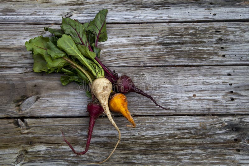 Bushel of Red Beets Grown Locally Stock Photo - Image of market ...