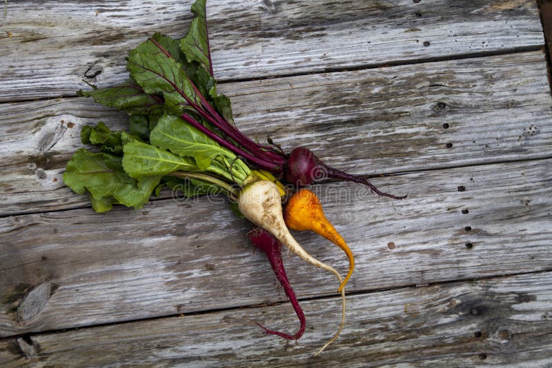 Red, Orange and Yellow Beets Stock Image - Image of organic, healthy ...
