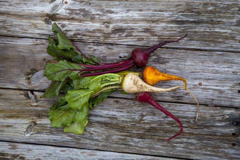 Red, Orange and Yellow Beets Stock Photo - Image of farm, orange: 86127246