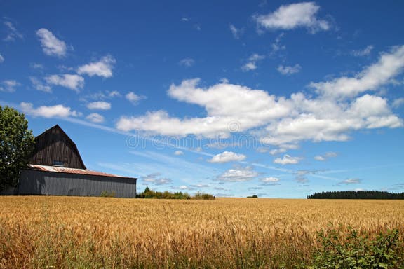 Red Oregon Barn stock photo. Image of structure, weathered - 15162066