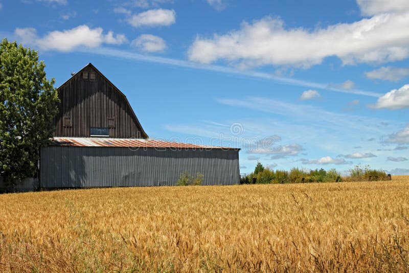 Red Oregon Barn stock image. Image of wispy, weathered - 16598665