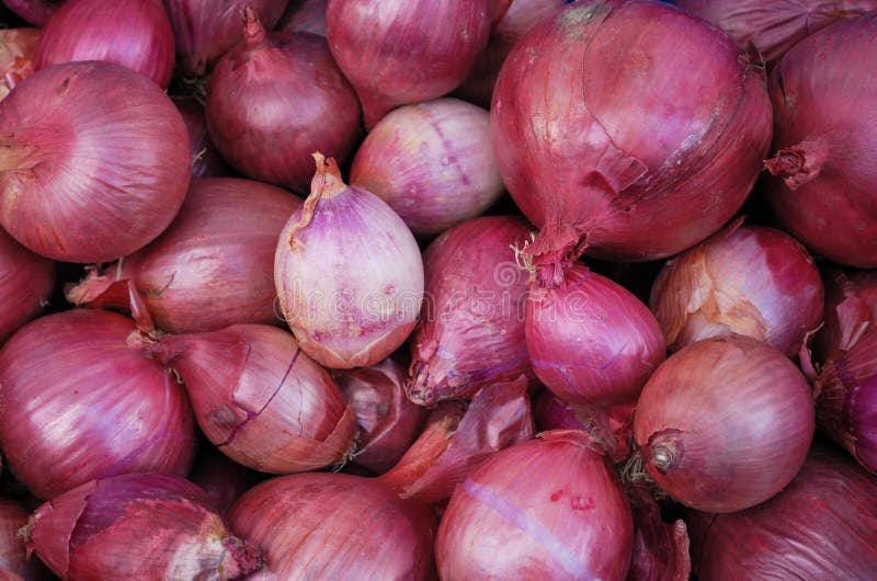Red Organic Onions stock image. Image of nature, cook - 7293199