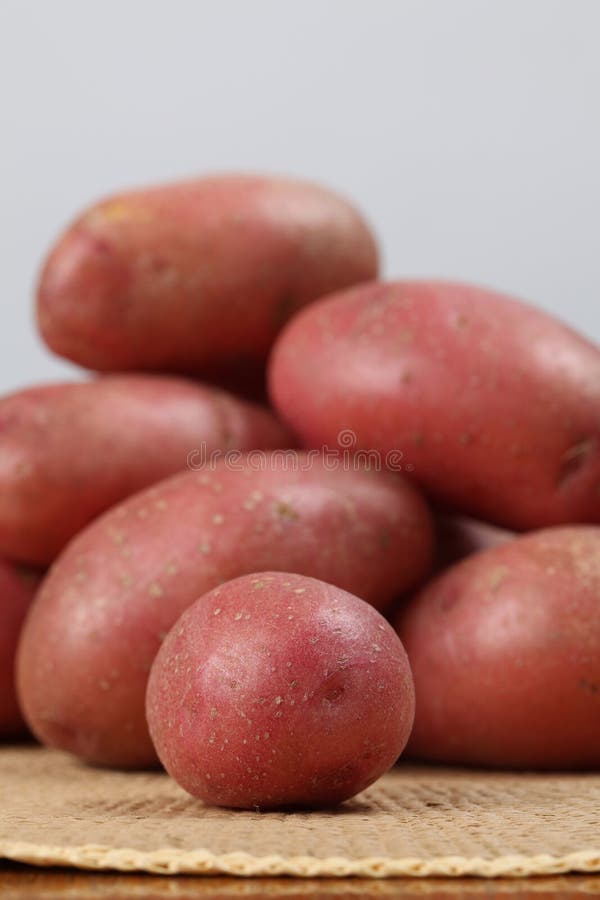 Red organic potatoes stock photo. Image of root, heap - 15871922