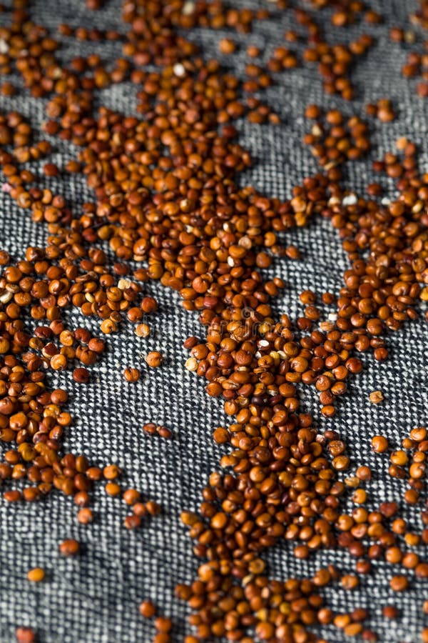 Red Organic Quinoa Grain stock photo. Image of heap - 141403850