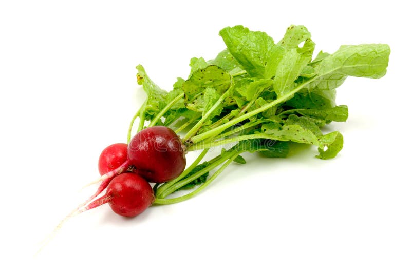 Red organic radishes stock photo. Image of garnish, vegetarian - 15871986