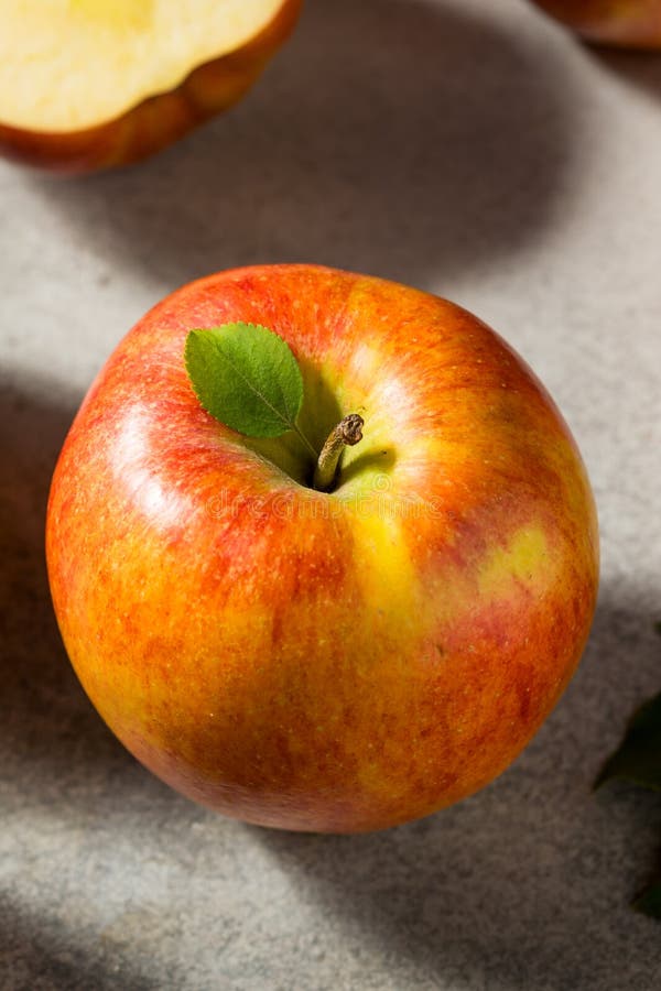 Red Organic Raw Envy Apples Stock Image - Image of ingredient, apples ...