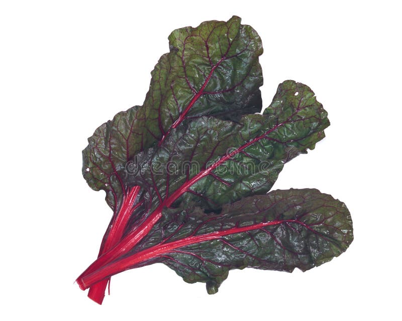 Red organic swiss chard stock photo. Image of ingredient - 97246034
