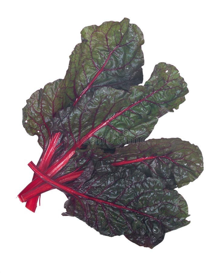 615 Red Swiss Chard Bunch Stock Photos - Free & Royalty-Free Stock ...