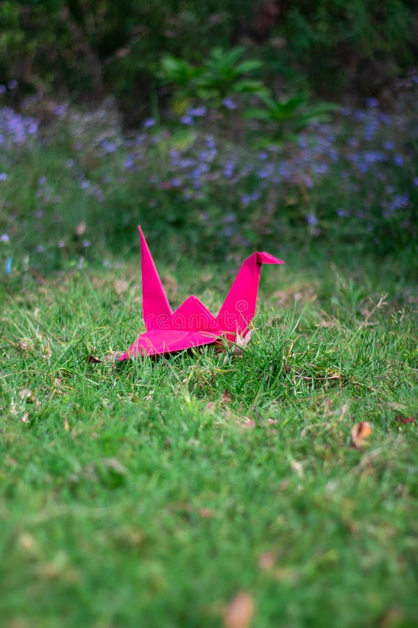 Red Origami Paper Bird on Grass Stock Image - Image of success, outdoor ...