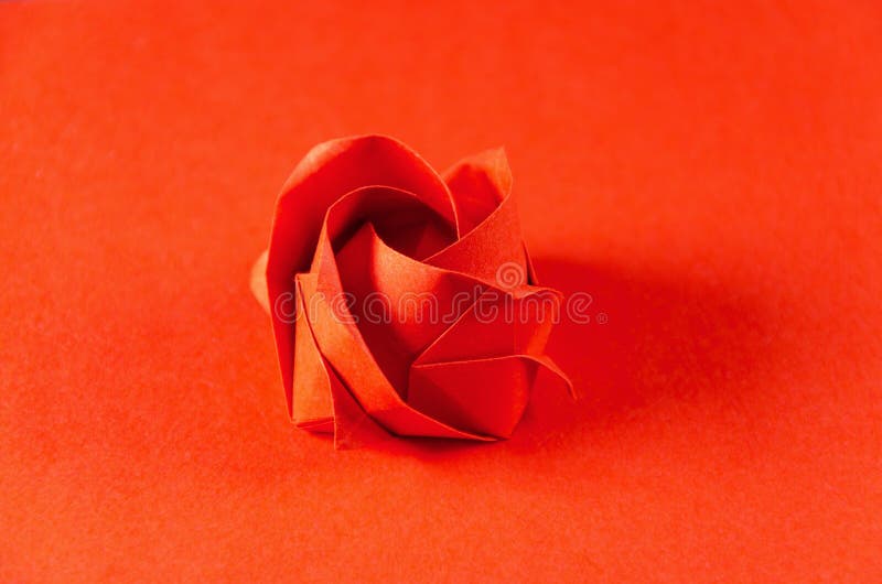 Origami rose close up stock photo. Image of flower, studio - 999616