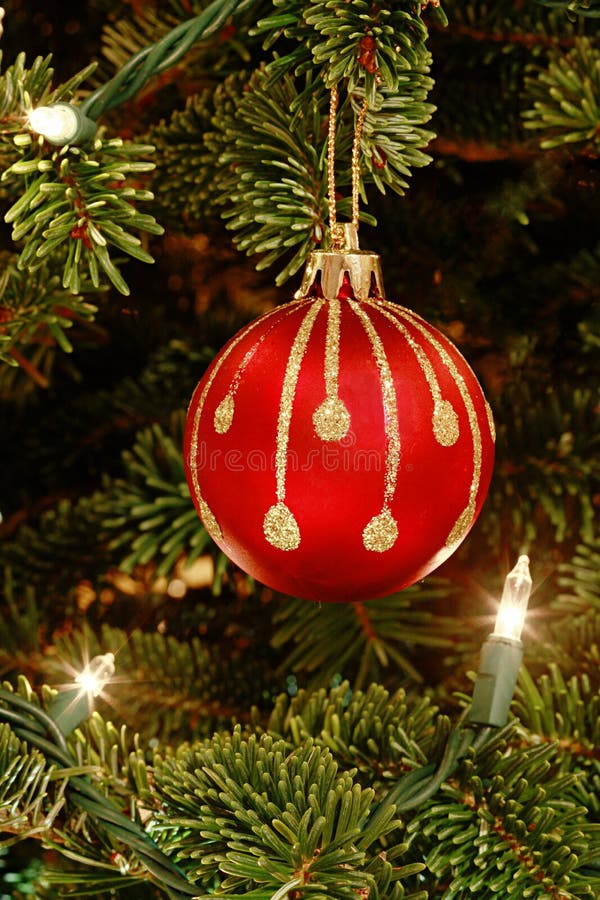 Red Ornament in Christmas Tree Stock Image - Image of hang, green: 12109945